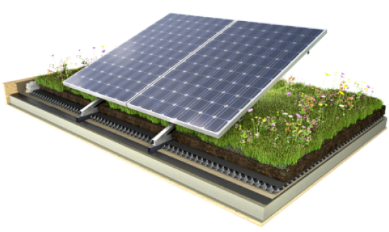 Green Roofs & Net Zero Emissions - ICB Projects