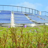 Bio-Solar Roofs | ICB Projects