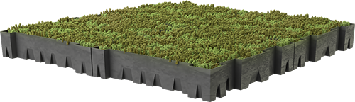 Modular Green Roof Systems - ICB Projects