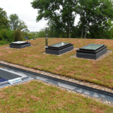 Sedum Systems - Green Roof Systems | ICB Projects