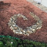 Biodiverse Green Roof Systems - ICB Projects
